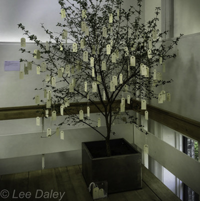 Imagine Peace: Yoko Ono's "Wish Tree:" From Copenhagen to Iceland and ...