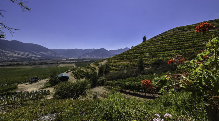 Colchagua Valley in Chile: not only for wine-sipping - Travel Examiner