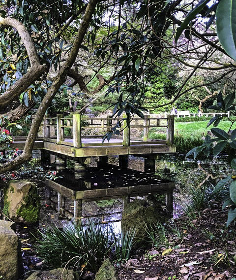 Splendor in the Grass: Golden Gate Park Celebrates 150 years and you ...